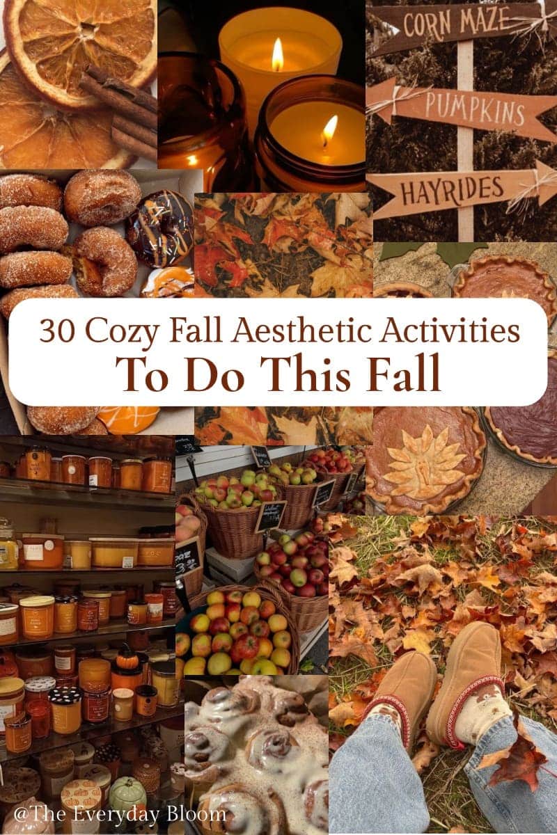 30 Cozy Fall Aesthetic Activities to do This Season