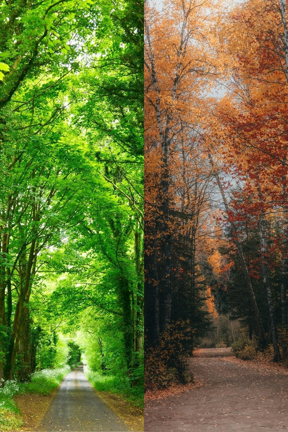 100 Summer This or That Questions